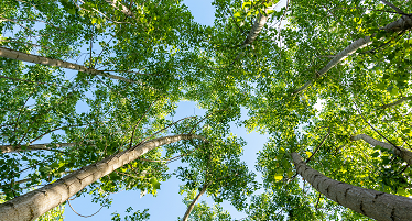 Air Quality | Environmental Health & Safety